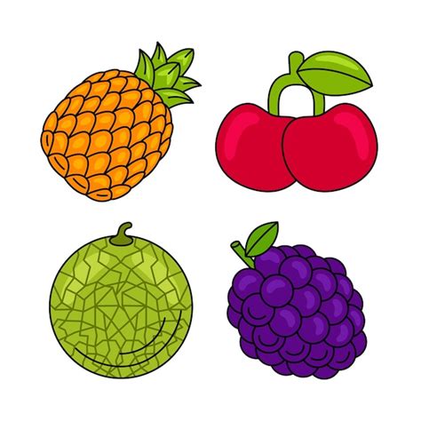 Premium Vector Fruit Objects Vector Illustrations Set