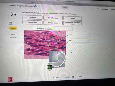 Solved Connect Chapter 5 Assignment Histology Help