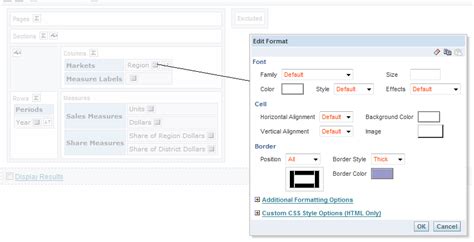 OBIEE Header On The Measures OBIEE Pivot Table View