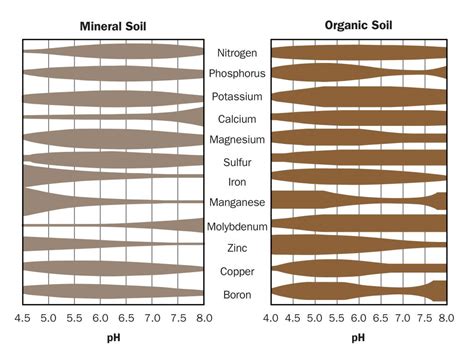 Finding The Perfect Balance Soil Ph And Nutrient Availability Oscia