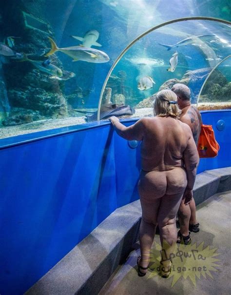 女性を含むヌーディスト団体が全裸で水族館に現れ話題に・・・（画像） ポッカキット