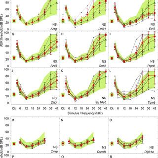 ABR Thresholds In Wildtype And Mutant Mice A ABR Thresholds Measured