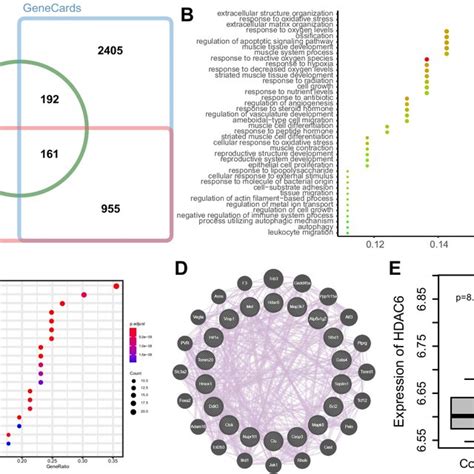 Bioinformatics Analysis Screens Dcm Related Genes A Venn Diagram To
