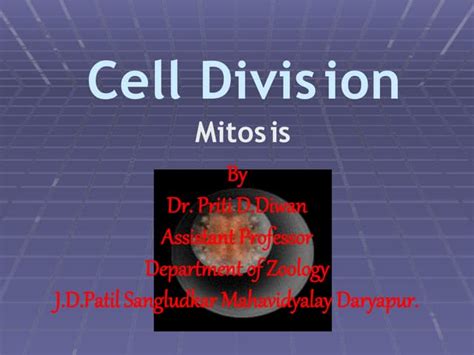 Cell Division Mitosis Ppt