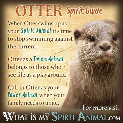 Mammal Symbolism And Meaning Spirit Totem And Power Animal