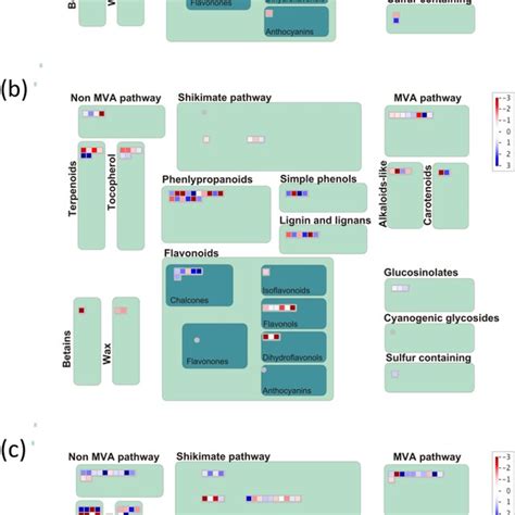 Degs Under Different Stress Conditions Were Binned To Mapman Metabolism