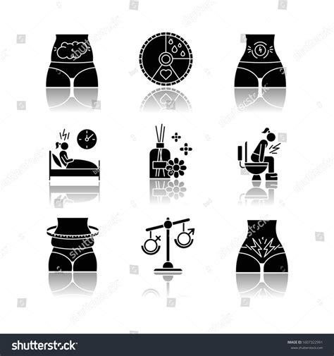 Menstrual Cycle Drop Shadow Black Glyph Stock Vector Royalty Free