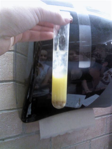 Biology DNA Extraction Lab