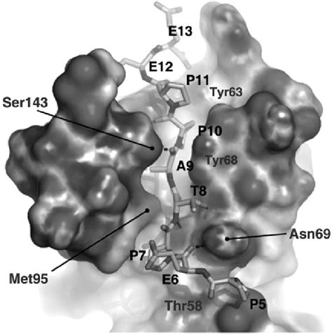 Structure Of The Uev Domain Of Tsg101 Bound To A Ptap Containing