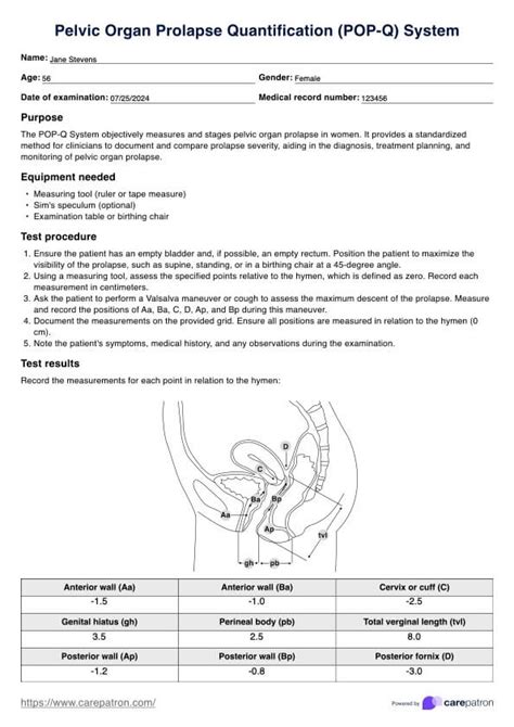 Pelvic Organ Prolapse Quantification System And Example Free Pdf Download