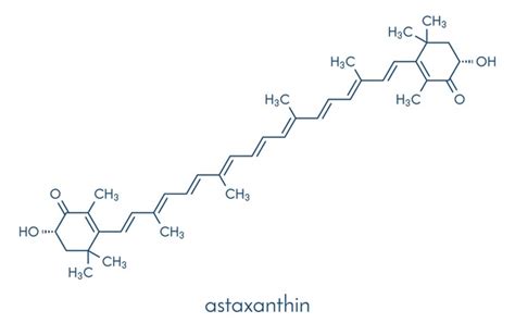 Astaxanthin Supplements Over 15 Royalty Free Licensable Stock Vectors