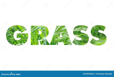 Grass 3d Word Yellow On White Background Fresh Grass Letters Isolated