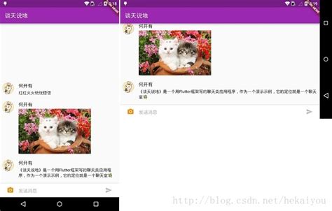 flutter实战一flutter聊天应用（十） flutter 聊天 csdn博客