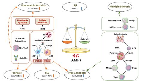 Figure 1 From The Dual Role Of Antimicrobial Peptides In Autoimmunity