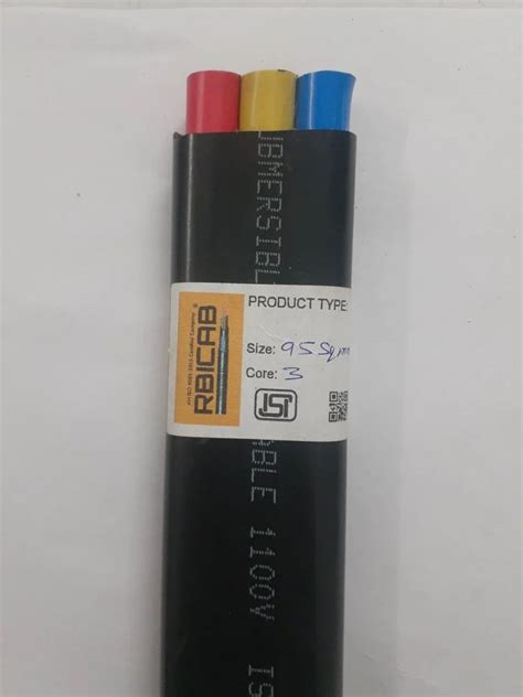 Rbicab 3 Core X 95 Sqmm Flat Flexible Copper Conductor Pvc Insulated