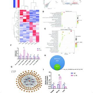 Differential Expression Profile Of Circular RNA CircRNA And
