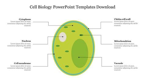 Free Download Free Cell Biology PPT Templates And Google Slides Biology Templates