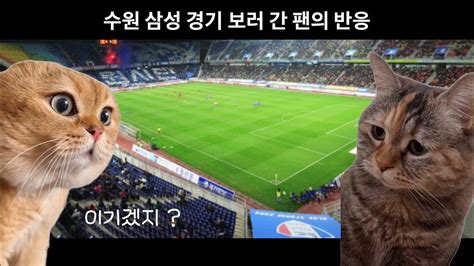 수원삼성 경기를 보러간 팬들의 반응 Youtube