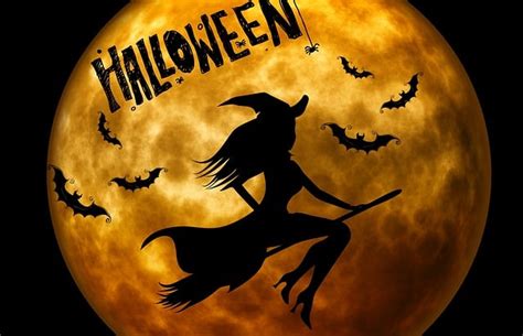 Download Witch Halloween Fantasy Royalty Free Stock Illustration