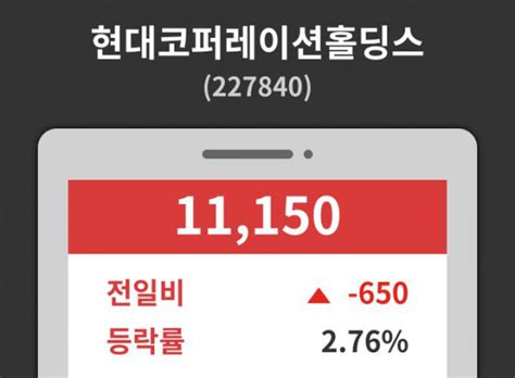 데일리 주식정보 현대코퍼레이션홀딩스 227840 오후 12시 27분 기준 및 주식시황 데일리시큐