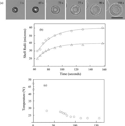 A Progress Of Swelling For The Neutral Microgel Shell Batch 2 As Download Scientific