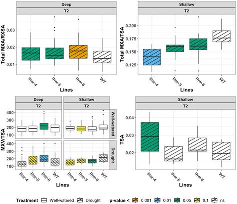 Oslhw Mutants Affect Root Anatomy Phenotypes Under Drought Root