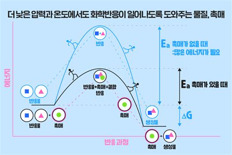 촉매의 원리 석유화학과 플라스틱의 시대를 열다