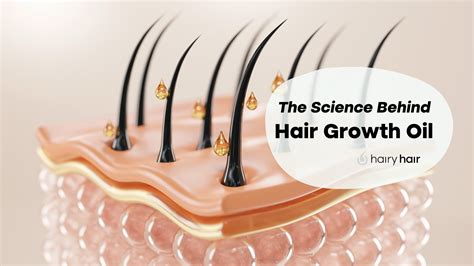 The Science Behind Hair Growth Oil Hairy Hair