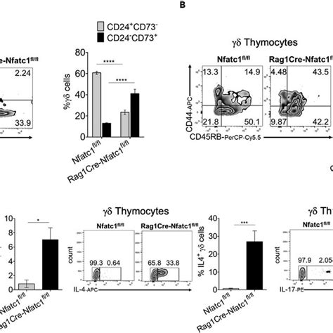 Nfatc1 Absence Affects Gd Thymocyte Differentiation A Flow Cytometry