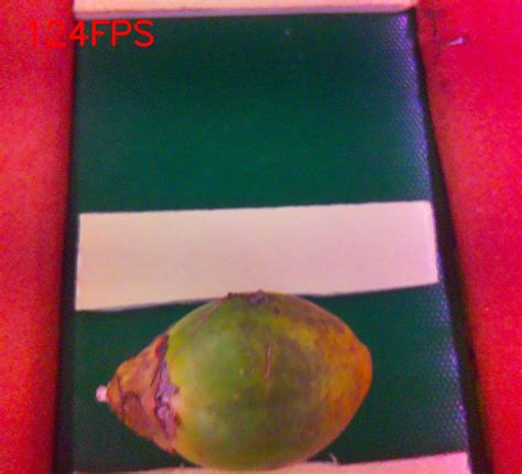 Fruitsegregationsys Object Detection Dataset And Pre Trained Model By Aishwary