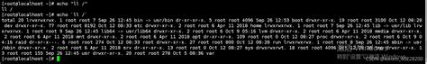 Linux 通配符与三种引号通配符主要有哪三个 Csdn博客