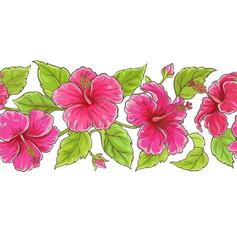 Premium Vector Hibiscus Vector Pattern