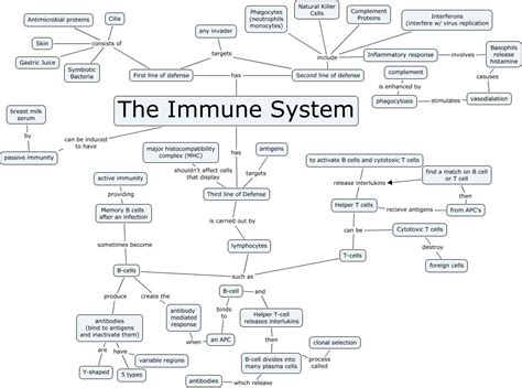 Overview Of Immune System Ppt