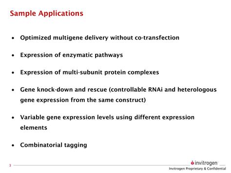 Ppt The Gateway® Cloning System Powerpoint Presentation Free Download Id 1759421