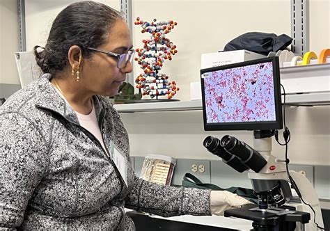 Ag And Med Biotech Workshop Its About The Bacteria — Grownextgen