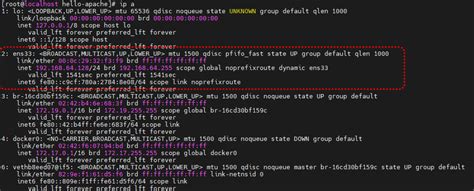 C U H Nh Domain Virtual Host Cho Apache Tr N Docker Centos