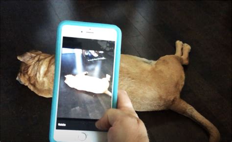 Preface Blockchain Tethered Ai [book]