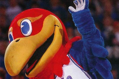 Notebook Ku Volleyball Mauls Texas Self Tackles Media Day Questions