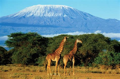 Monte Kilimanjaro Tanzania Kilimanjaro African Travel Places To Visit