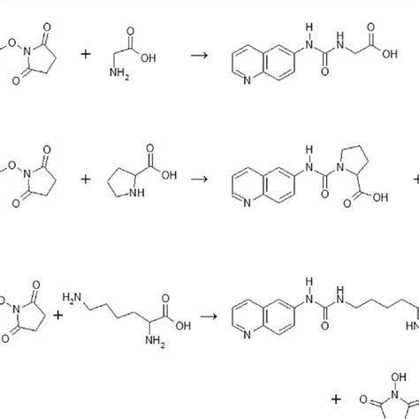 Scheme Of Derivatization Procedure Of Three Different Amino