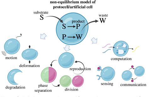 Figure 1 From Dna Droplets For Intelligent And Dynamical Artificial Cells From The Viewpoint Of