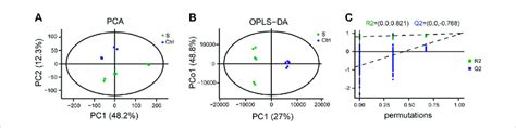 Lc Ms Based Metabolomic Analysis Of The Hippocampus In The Sae S And