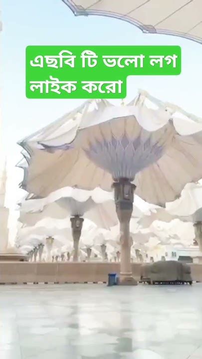 এই ছবিটি ভালো লাগলে লাইক করো Youtube