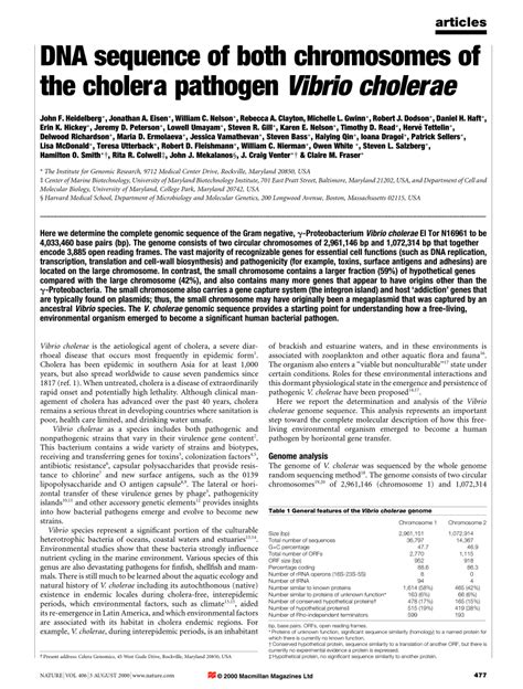 Pdf Dna Sequence Of Both Chromosomes Of The Cholera Pathogen Vibrio