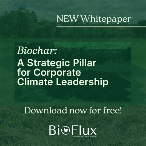 Biochar Vs Hydrochar Understanding The Differences And Similarities Biochar Today
