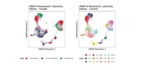 머신러닝 분야의 임베딩에 대한 상세한 가이드 The Full Guide to Embeddings in Machine