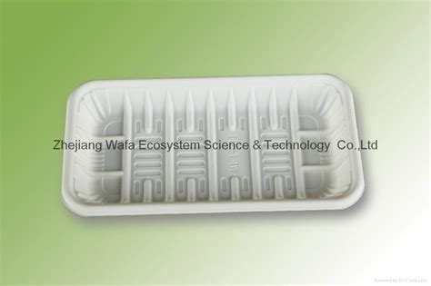Bio Corn Starch Disposable Trays Gw T0084 Wafa China Manufacturer