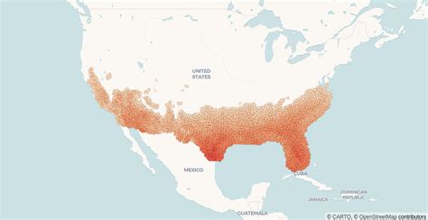 Carto Styles — Pydeck Carto 020 Documentation