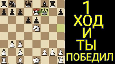 С ТАКОЙ СИЛЬНОЙ ЛОВУШКОЙ ВЫ МОЖЕТЕ ОБЫГРАТЬ ЛЮБОГО ИГРОКА Шахматы Ловушки Шахматы Обучение