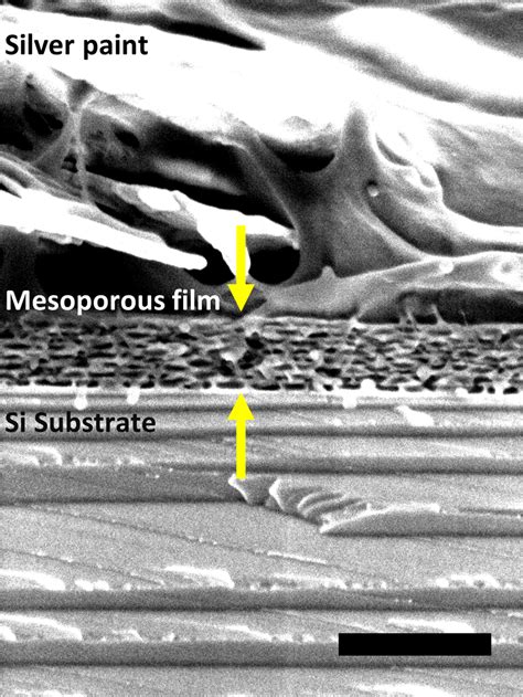 Figure S9 Cross Section SEM Image Of A Two Step Calcined Thin Film